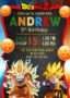 Dragon Ball Z design for kids - Jamakodesigns